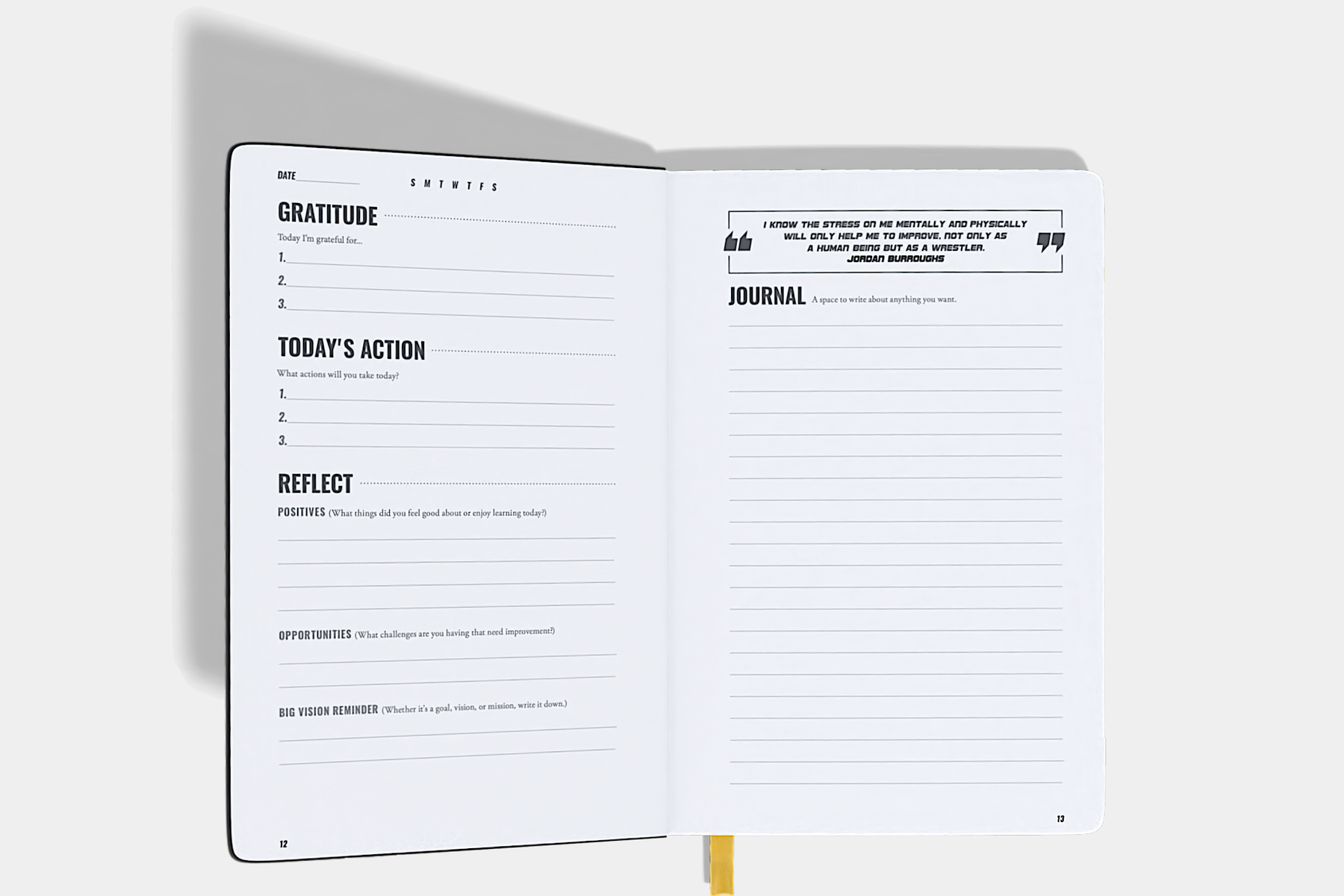 ALL IN WRESTLER`S JOURNAL – ALL IN WRESTLER`S JOURNALS