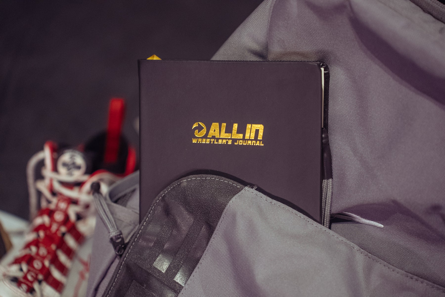 ALL IN WRESTLER`S JOURNAL – ALL IN WRESTLER`S JOURNALS